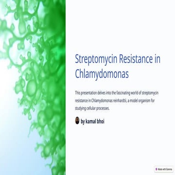 Streptomycin-Resistance-in-Chlamydomonas.pptx