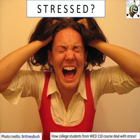 Stressed Student Meme