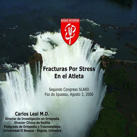 Stress Fx | PPT | Running and Jogging | Fitness and Exercise