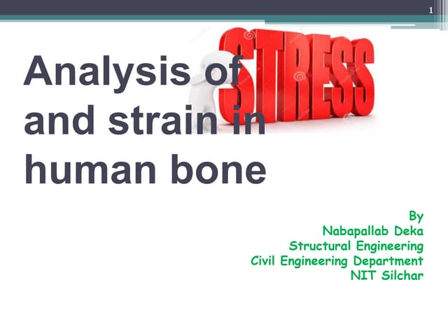 Biomechanics of Bones | PPTX