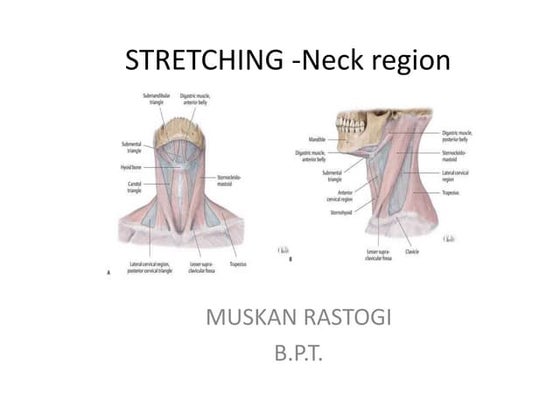 shoulder joint mobilization.pdf | Death, Injury, or Military Conflict ...