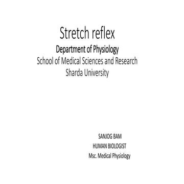 Stretch reflex | PPTX