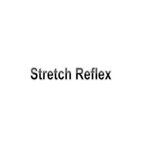Stretch Reflex - Copy.pptx