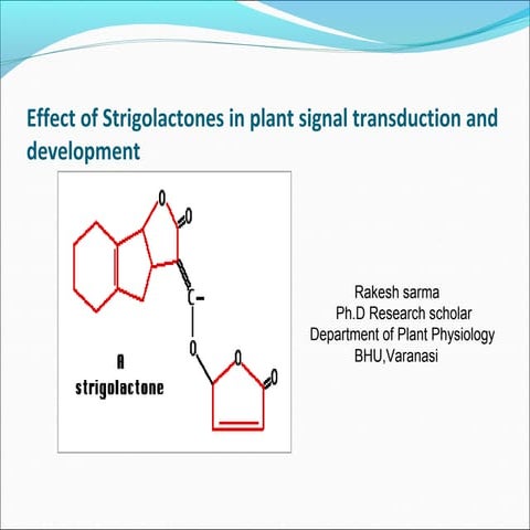 STRIGOLACTONES IN PLANT SIGNAL TRANSDUCTION AND DEVELOPMENT | PPT