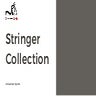 Stringer PDF.pdf