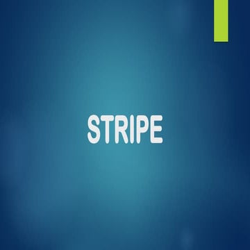 STRIPE business model presentation .pptx