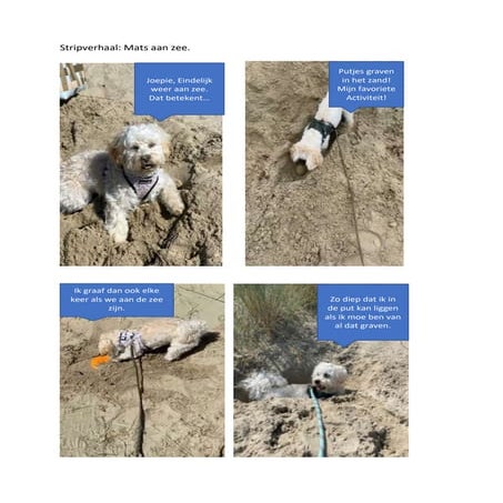 Stripverhaal-Mats.docx