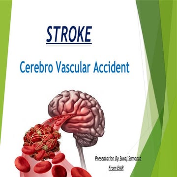 A Small Description On Brain STROKE.pptx