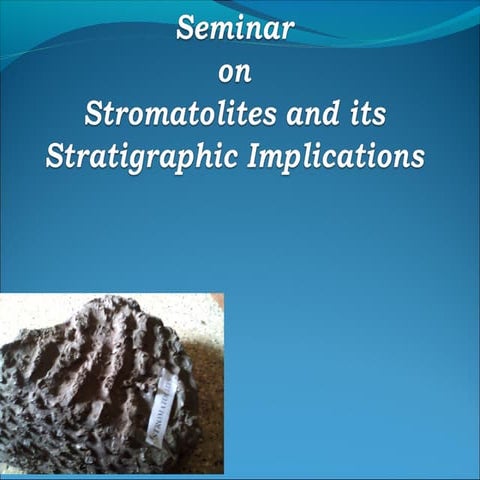 Stromatolites and its stratigraphic implications | PPT