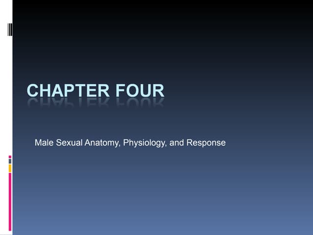Male Sexual Anatomy Physiology And Behaviour
