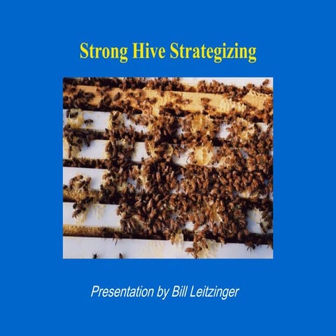 "Strong Hive Strategizing" | PPT