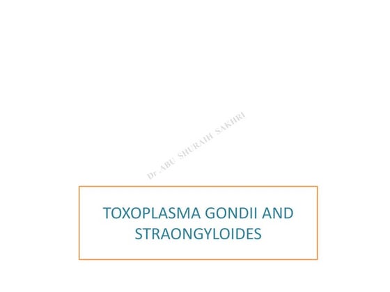TOXOPLASMA GONDII of parasitology bio science | PPT