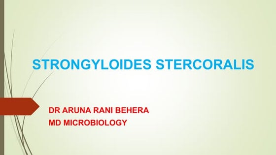 Strongyloidiasis | PPT