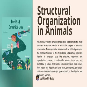 The-Structural-Organization-in-Animals.pptx
