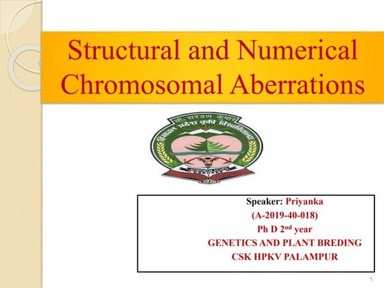 chromosomal aberration | PPT