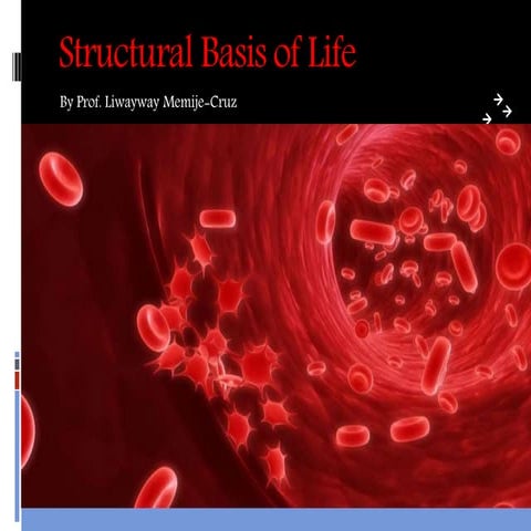 Structural Basis of Life | PPTX