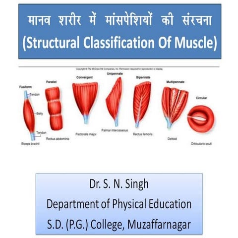 Anatomy of Joints & its classification | PPTX