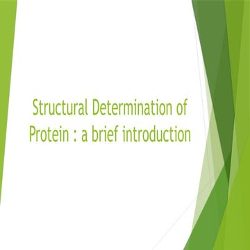 Structural Determination of Protein_Lab Meeting.pptx