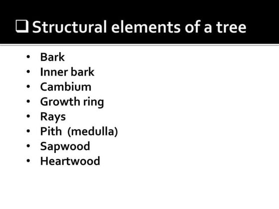 Cross section of a tree | PPTX