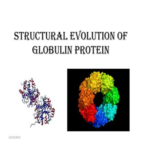 Structural evolution of globulin protein | PPT