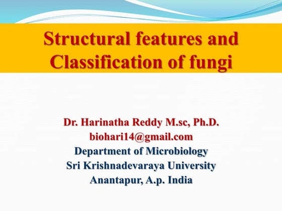 Fungal spore 1 | PPT