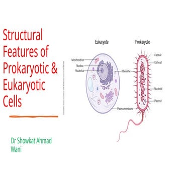 Structural Features of Prokaryotic & Eukaryotic Cells.pptx