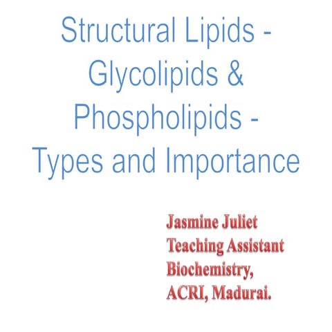Lipids: Structure and Functions | PPTX