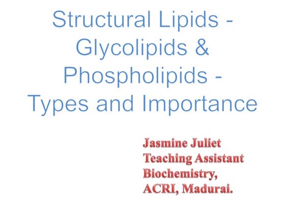 Biosynthesis of phospholipids | PPT | Chemistry | Science