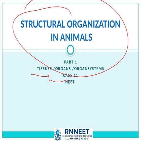 Structural organization in animal rn neet education 1.pptx