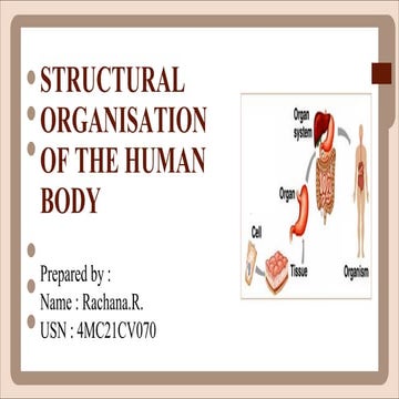 STRUCTURAL ORGANISATION.pdf by manoj dk, | PDF