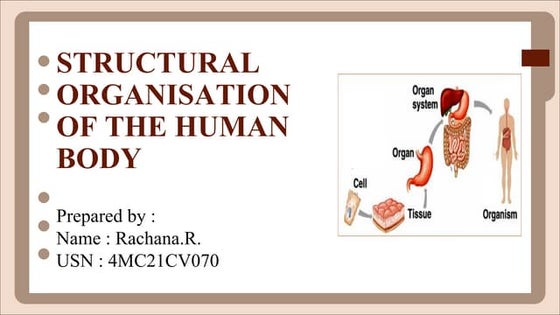Levels of structural organization | PPTX