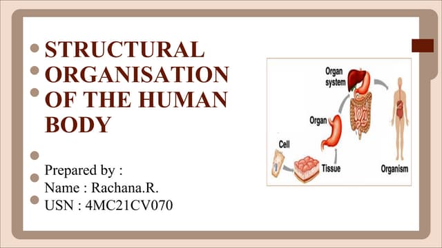 Levels of structural organization | PPTX