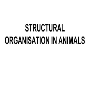STRUCTURAL ORGANISATION IN ANIMALS.pptx
