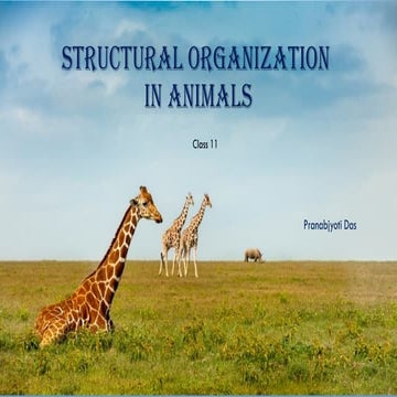 Structural Organization in Animals. Class 11 Biologypptx | PPTX