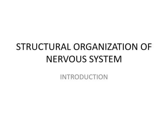 Introduction to the nervous system | PPT