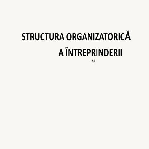 Structura organizatorica a intreprinderii | PDF