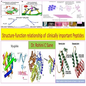 Structure function relationship of clinically important peptides | PDF