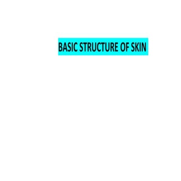 Basic structure and function's of human skin. | PPTX | Skin and ...