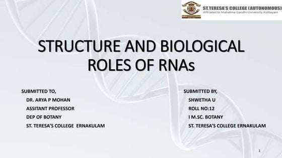 Types of RNA | PPTX