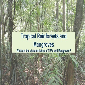 Structure and Characteristics of TRFs and Mangroves.pptx