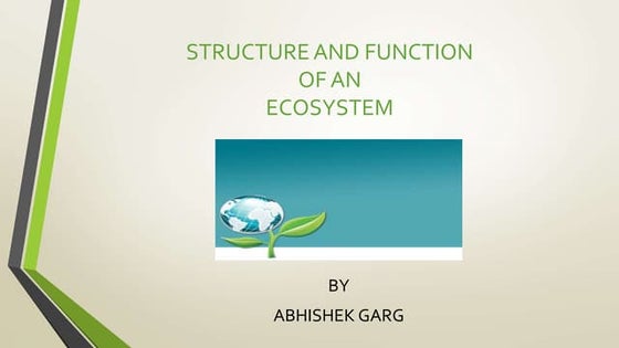 Ecosystem:Structure and Function | PPT