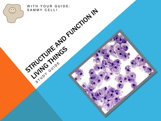 Classification of animals | PPT