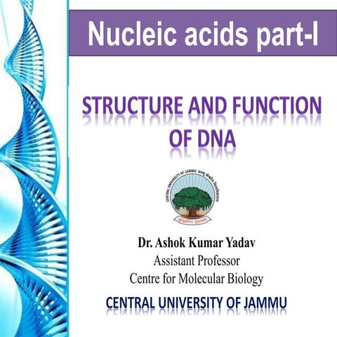 Structure and function of DNA.pptx