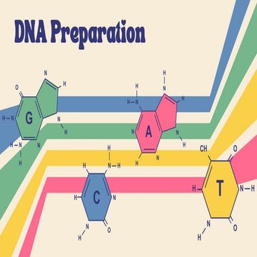 Streamlining DNA Preparation: Techniques and Applications | PDF
