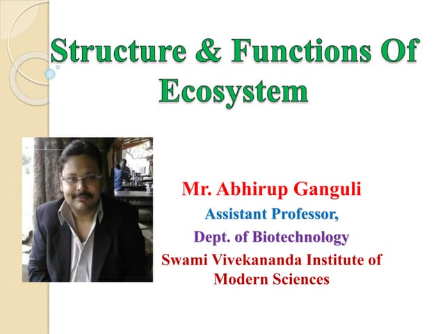 Ecosystem Structure And Function Pptx