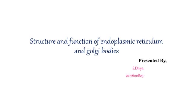 Golgi apparatus ppt (introduction structure and Function) | PPTX