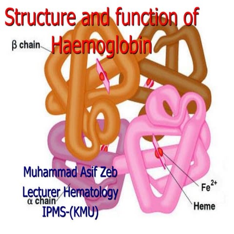Hemoglobin (Structure, Synthesis & Breakdown).pptx
