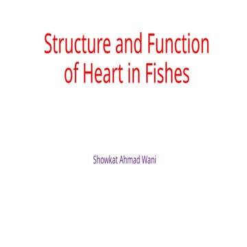 Structure and Function of Heart in Fishes.pptx
