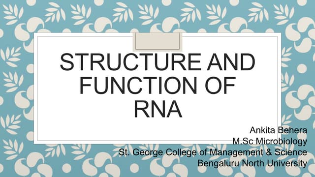 Secondary and tertiary structure of RNA | PPTX