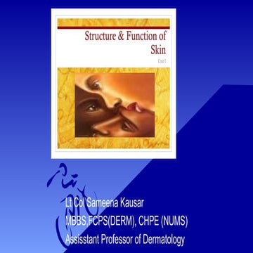 structure and function of structure and function of skin- | PPTX